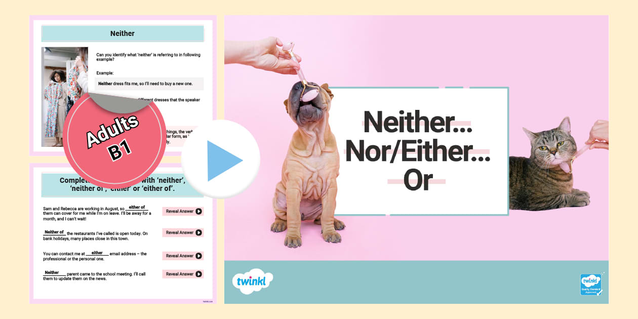 ESL Neither...Nor / Either...Or Lesson [Adults, B1] - Twinkl