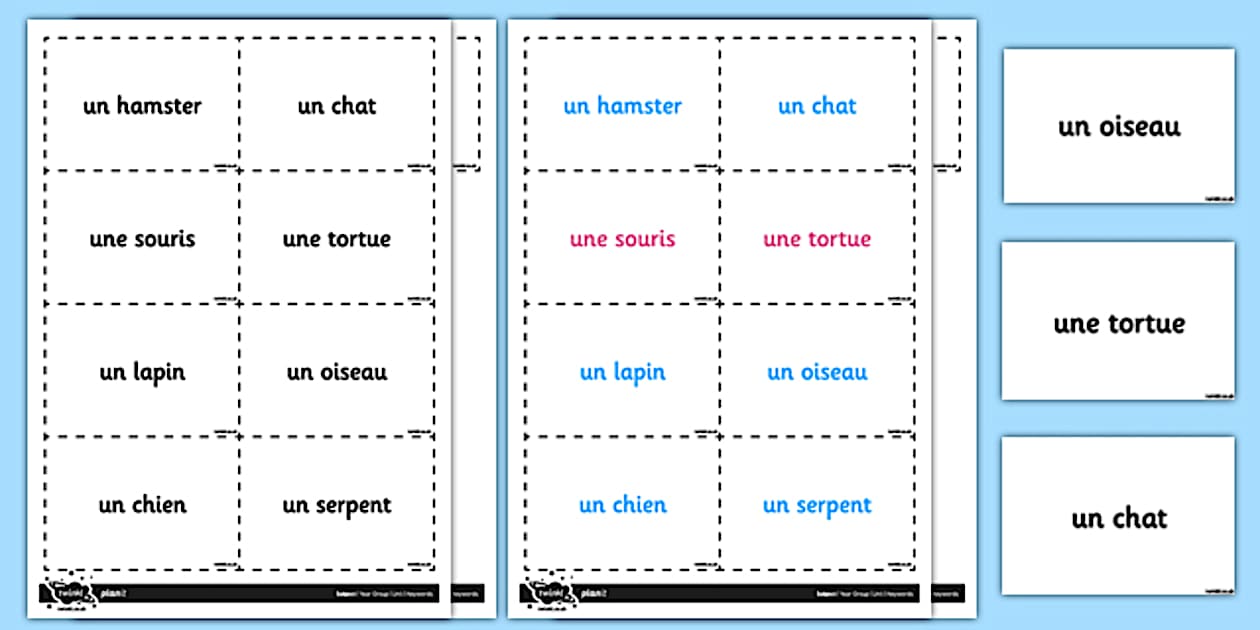 French Pets Vocabulary Flashcards (teacher made) - Twinkl