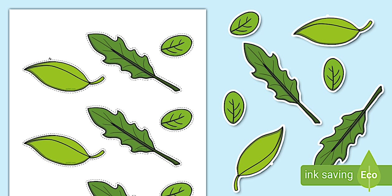 Small Leaves Cut-Outs (teacher made) - Twinkl