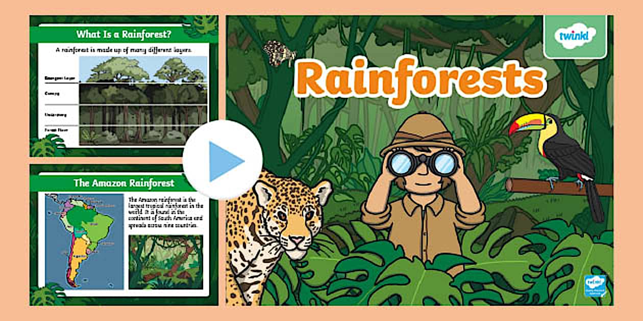 Rainforest PowerPoint KS1 (teacher made) - Twinkl