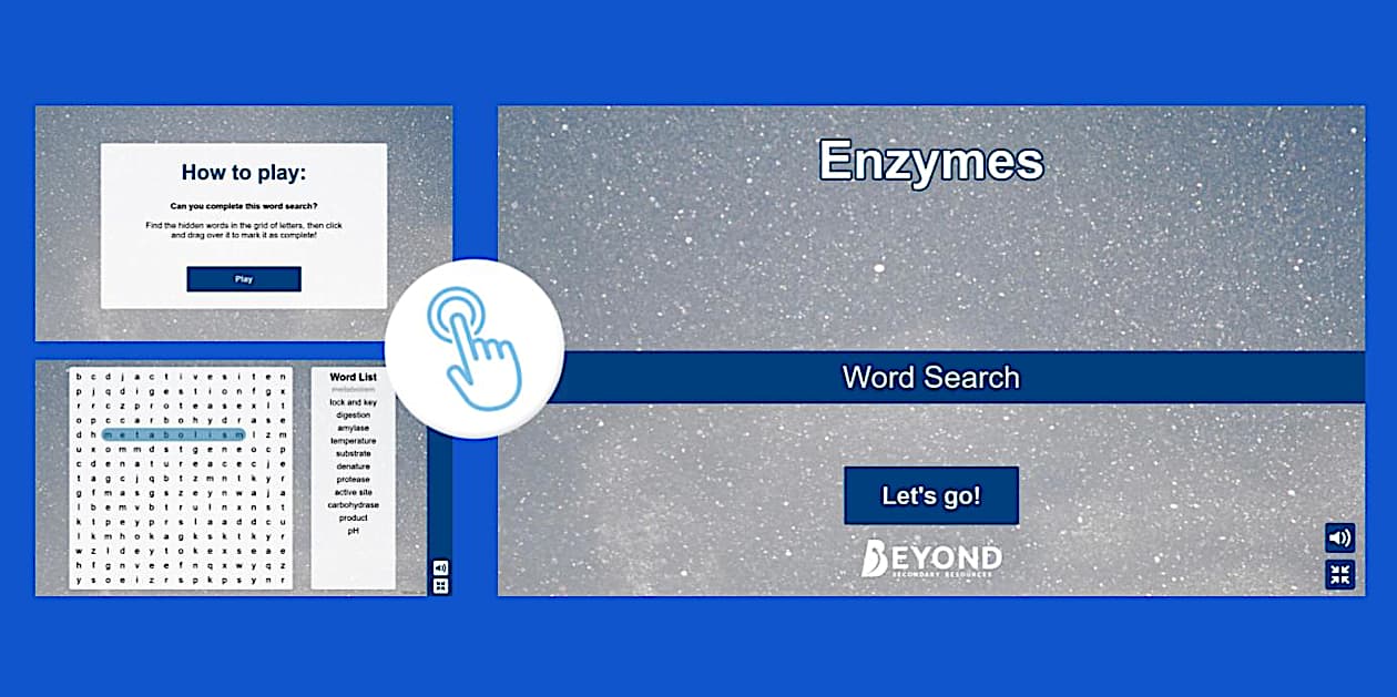 Enzymes Interactive Word Search | KS4 Science | Beyond
