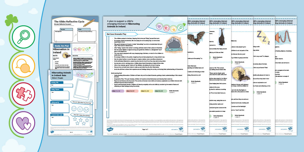 Winter Hibernation in Ireland- Bats Plan and Play Pack