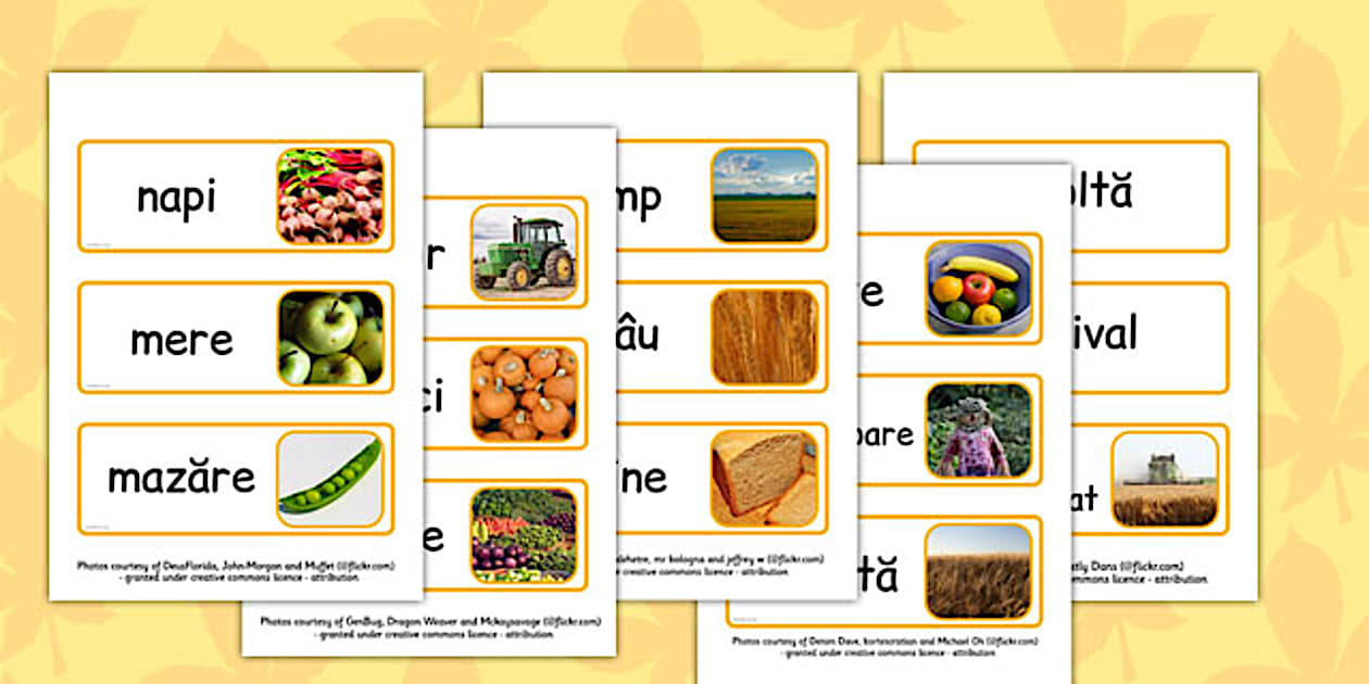 Recolta de Toamna (teacher made) - Twinkl