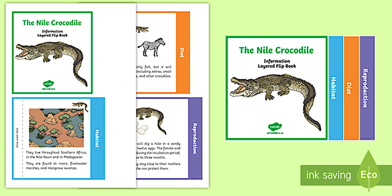Nile Crocodile Layered Flipbook - Twinkl