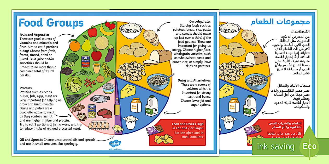 Large Food Groups Poster Arabic/English - Large Food Groups Poster