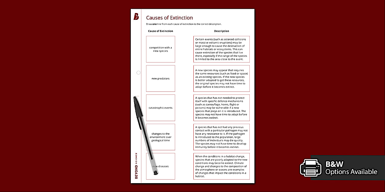 Causes of Extinction Match and Draw (teacher made) - Twinkl