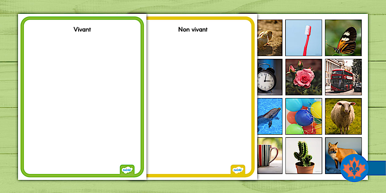 Photo Living and Non-Living Sorting Activity French - Twinkl