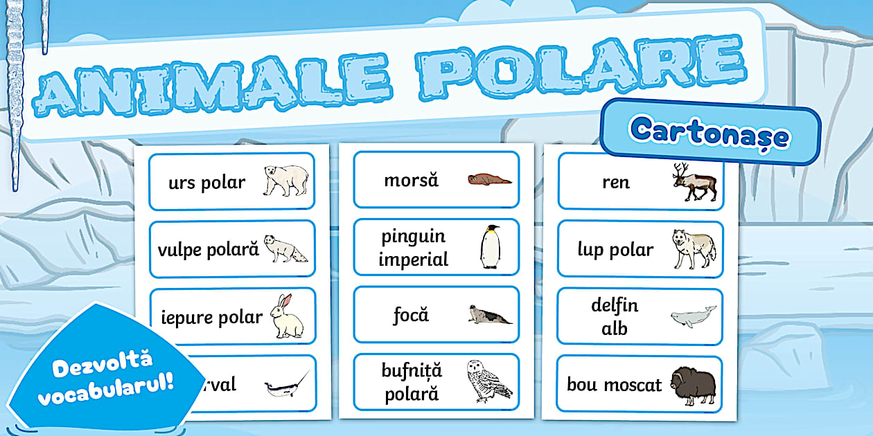 Animale polare Grădiniță Cartonașe cu vocabular