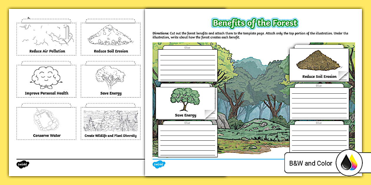 Benefits of the Forest Cut, Paste, and Research Worksheet for 3rd-5th Grade