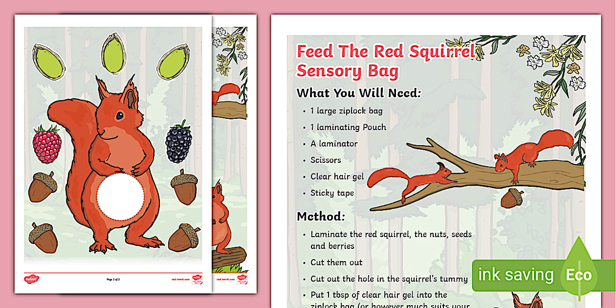 Feed The Red Squirrel Sensory Bag ELC (Teacher-Made)