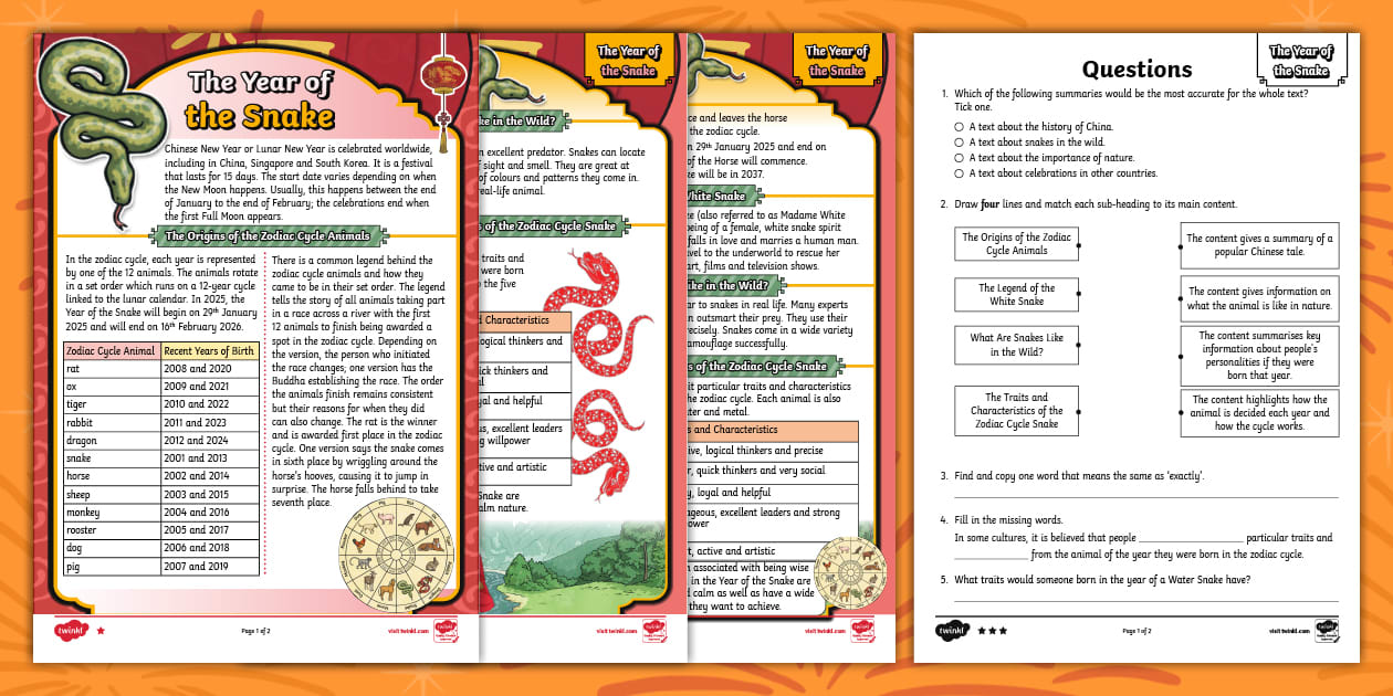 UKS2 The Year of the Snake Differentiated Reading Comprehension Activity