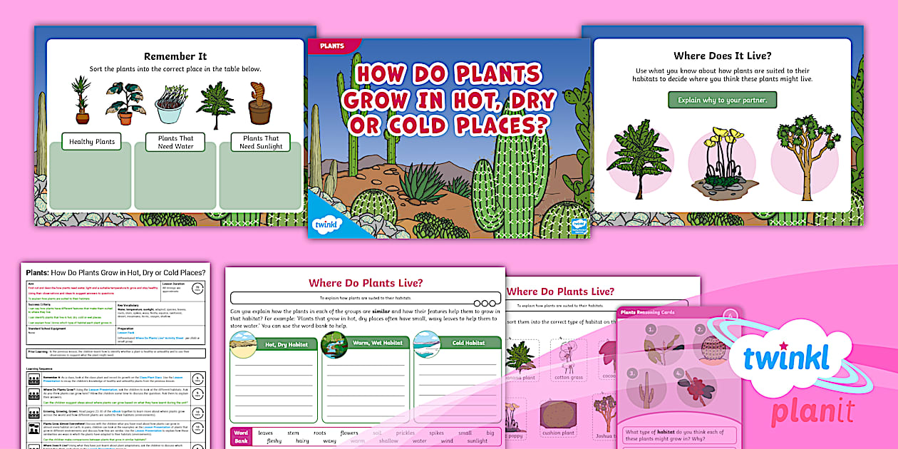Science: Plants: How Do Plants Grow in Hot, Dry or Cold Places: Year 2 ...