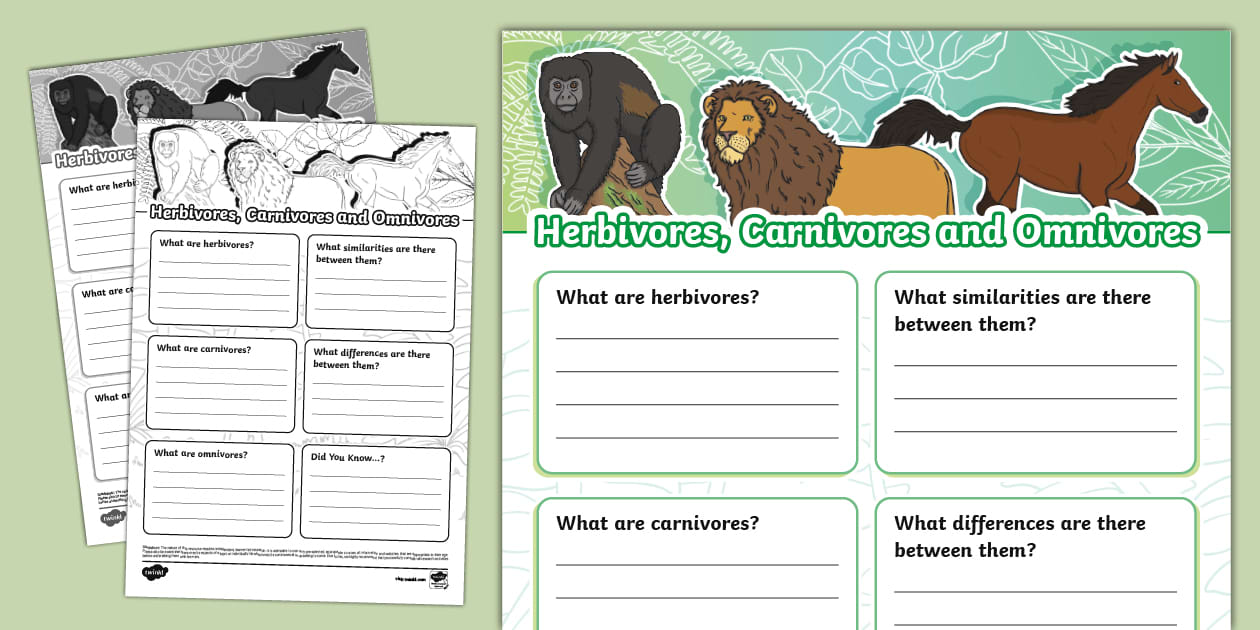 Herbivores, Carnivores and Omnivores Fact File Template