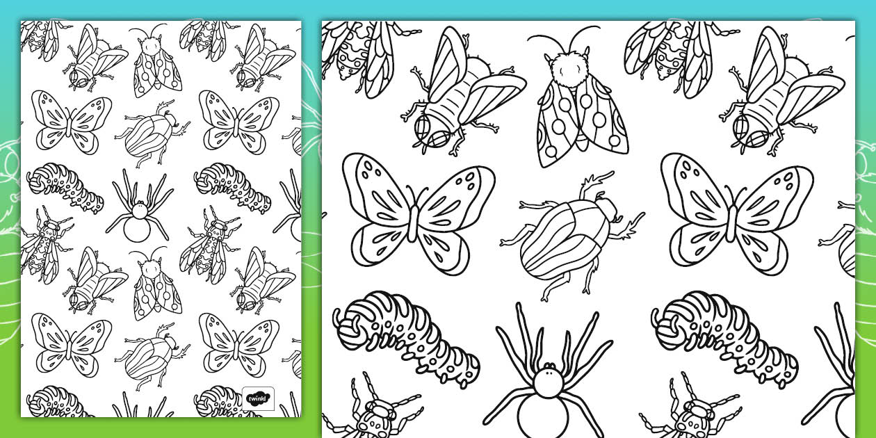 Minibeasts Doodle Colouring Page (teacher made) - Twinkl