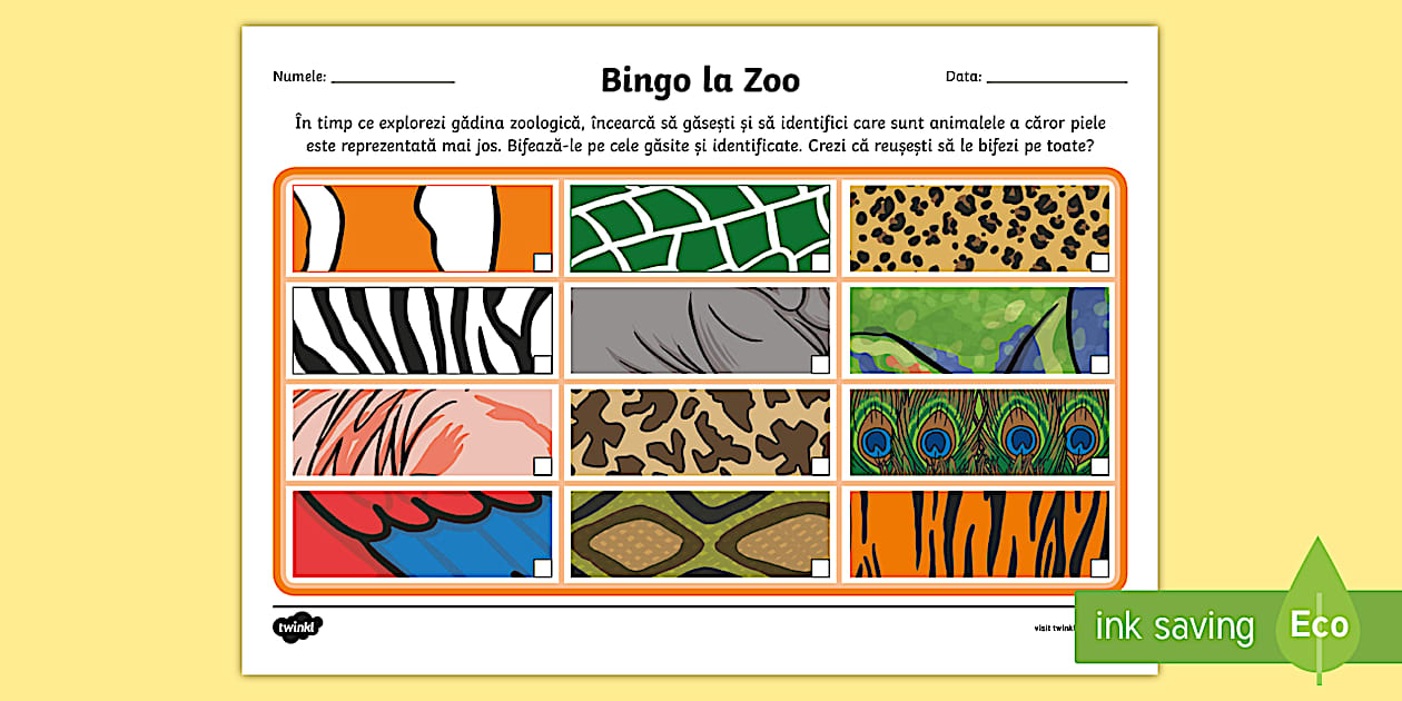 Bingo la Zoo Fișă de activitate (Teacher-Made) - Twinkl