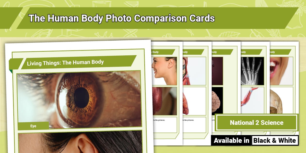 The Human Body Photo Comparison Cards