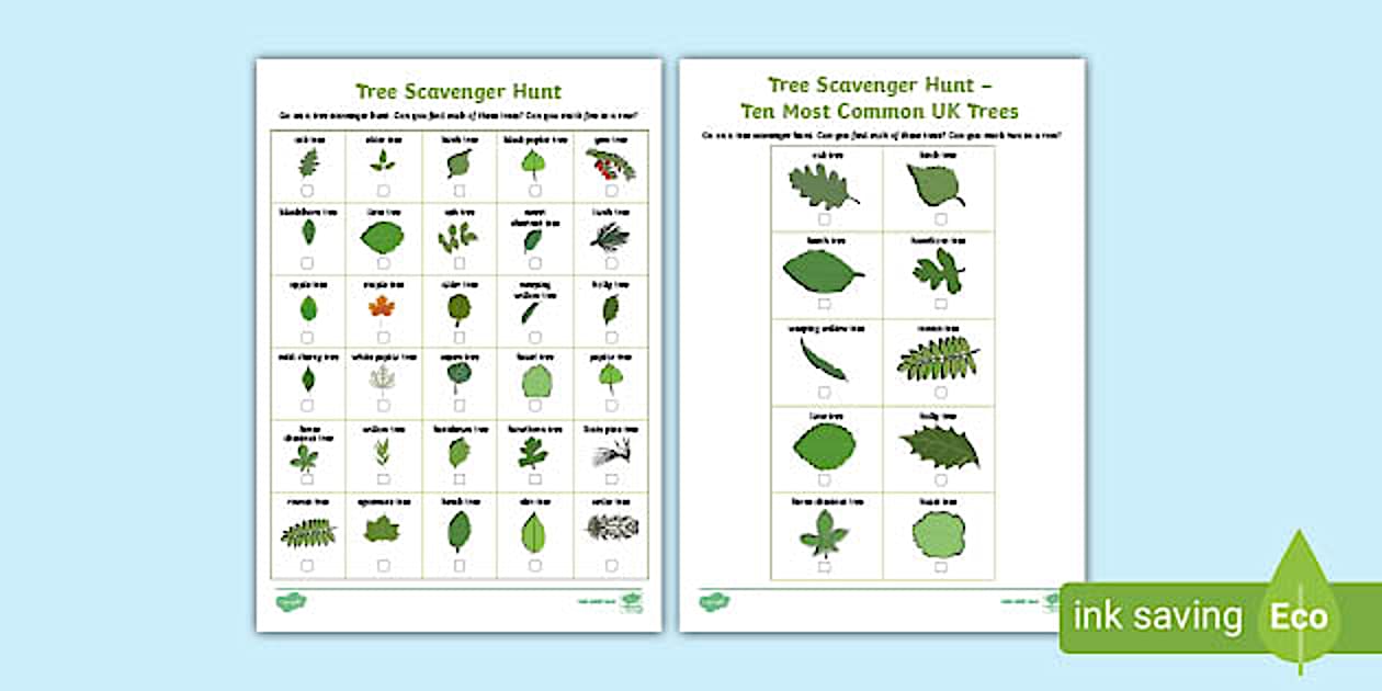Editable Tree Scavenger Hunt (Hecho por educadores) - Twinkl