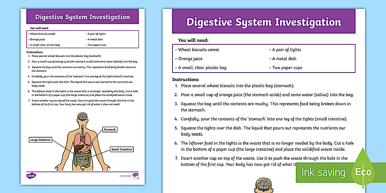 Digestive System Experiment KS2 Resource - Twinkl