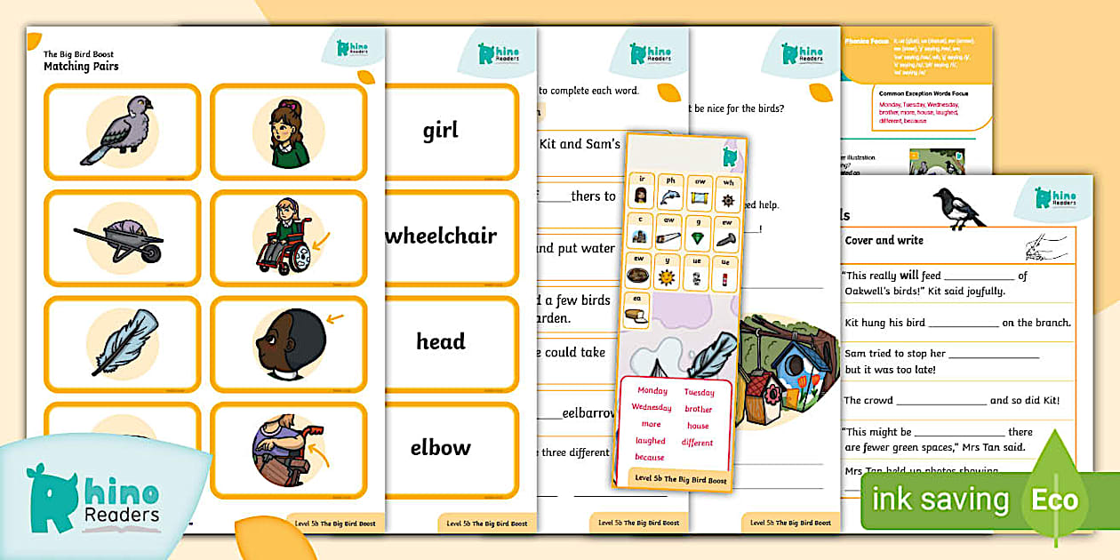 5b The Big Bird Boost: Resource Pack - Twinkl Rhino Readers