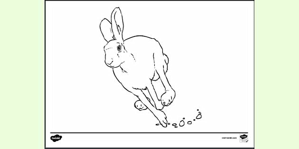 Hare Running Colouring Sheet | Printable Hare Template