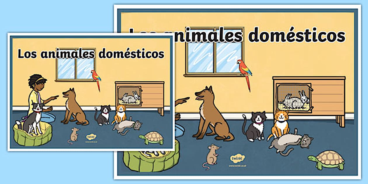 Cartel: Los animales domésticos - Twinkl