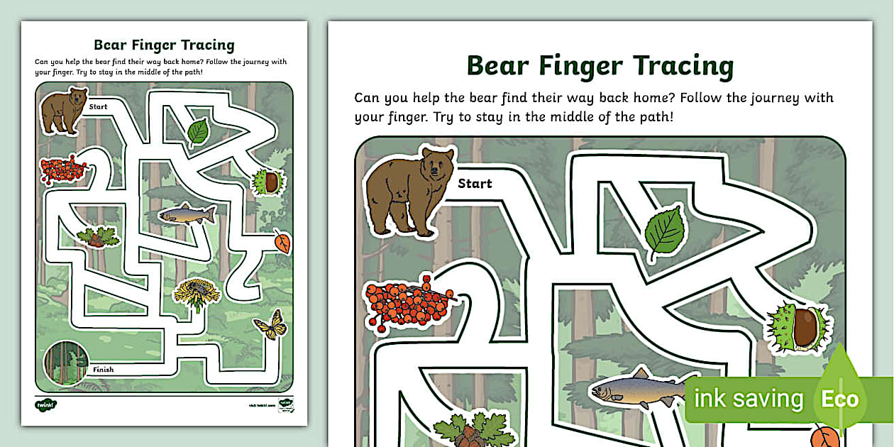 Bear Finger Tracing Activity (Teacher-Made) - Twinkl