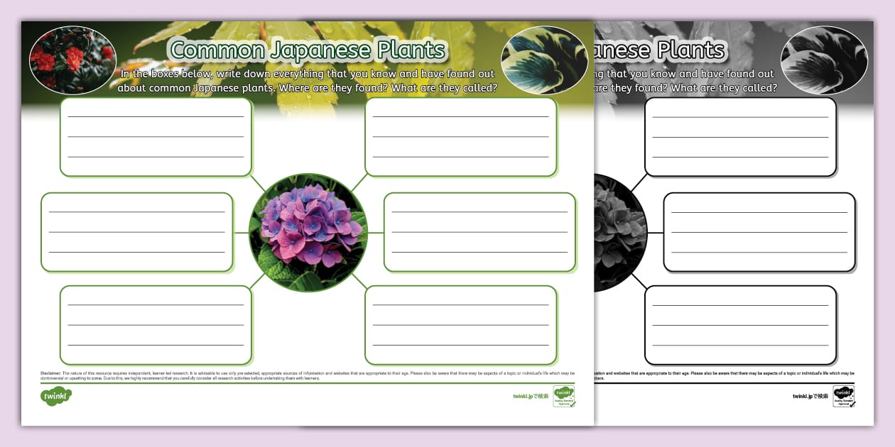 Common Japanese Plants Mind Map