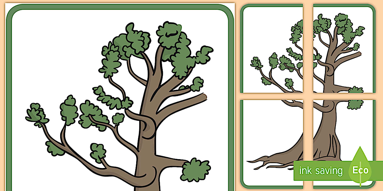 Rainforest Tree Display Cut-Outs | Twinkl USA (teacher made)