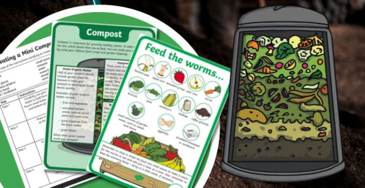 International Compost Week | Twinkl Teaching Calendar