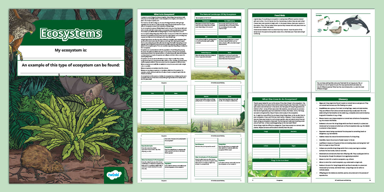 The Living World - Ecosystem Research Project (teacher made)