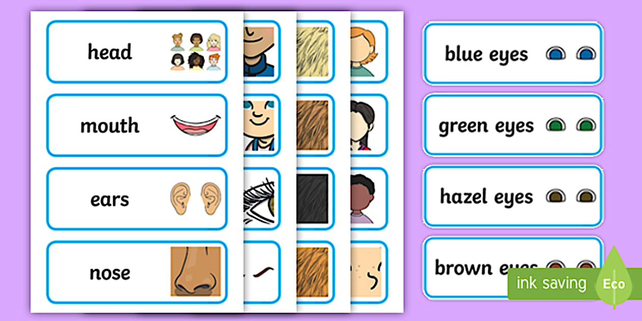 My Face Word Cards (teacher made) - Twinkl