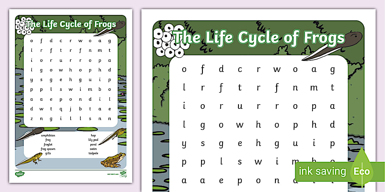 The Life Cycle of Frogs Word Search (teacher made) - Twinkl