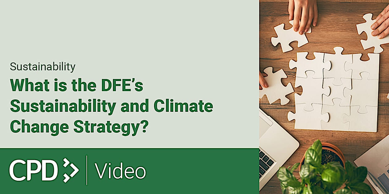 What is the DfE's Sustainability and Climate Change Strategy?