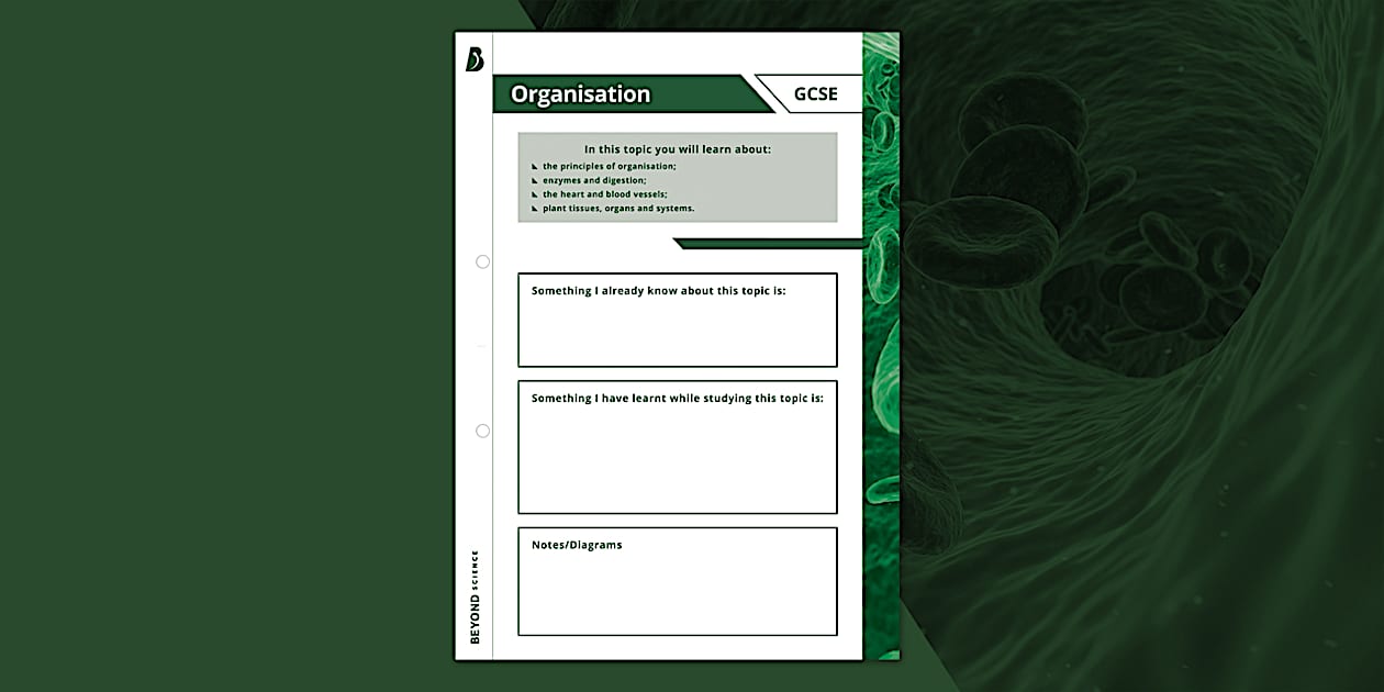 AQA GCSE Biology: Organisation Topic Title Page - Twinkl