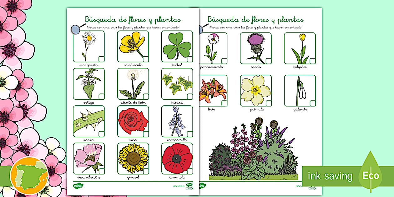 Ficha de actividad: Búsqueda de flores y plantas