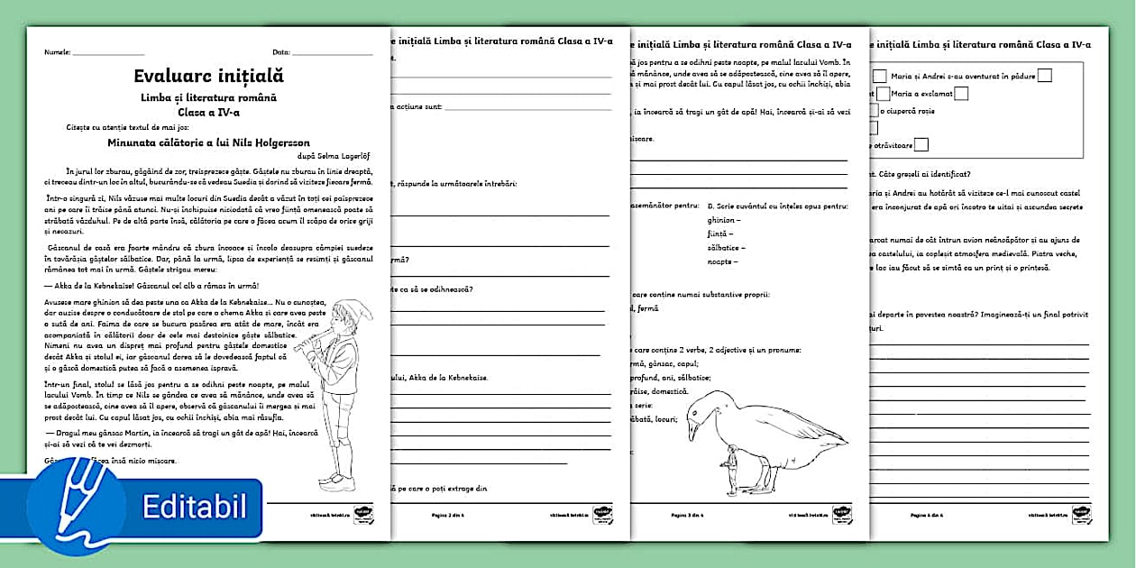 Clasa 4 Evaluare inițială LLR (Limba și Literatura Română)