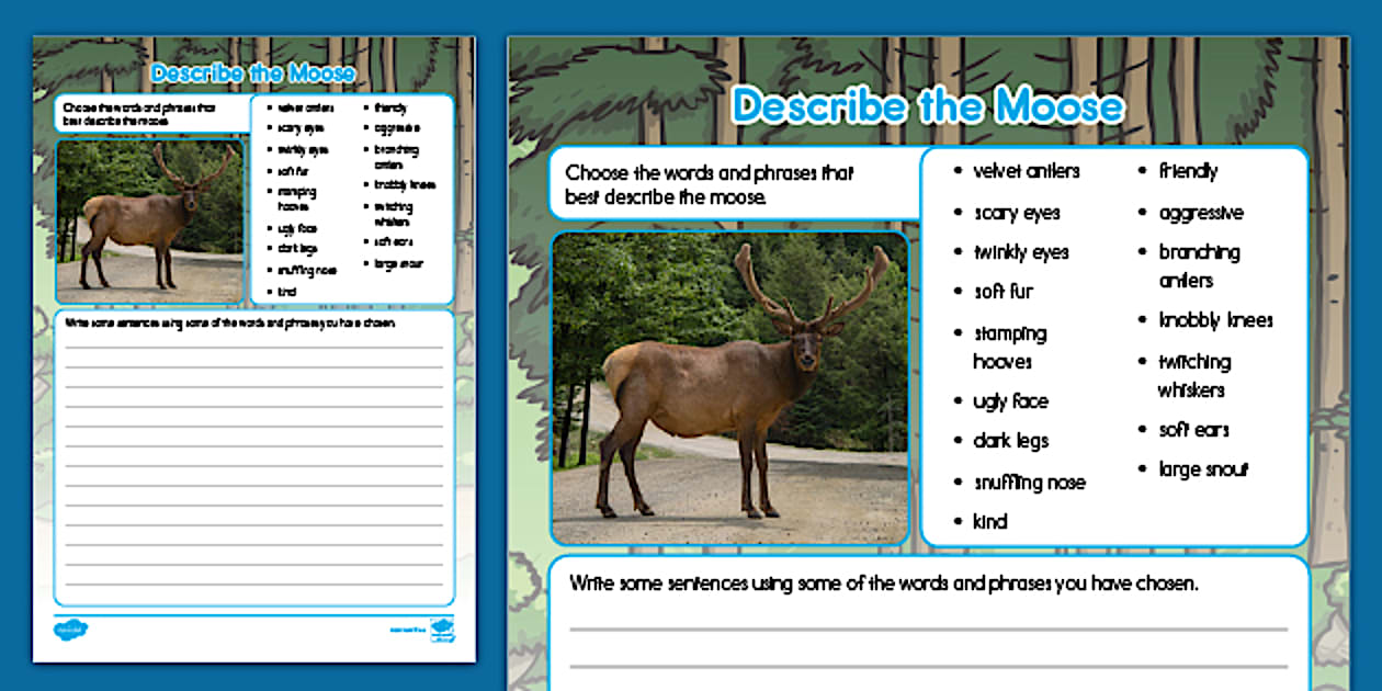 Describe the Moose Worksheet (l'enseignant a fait) - Twinkl