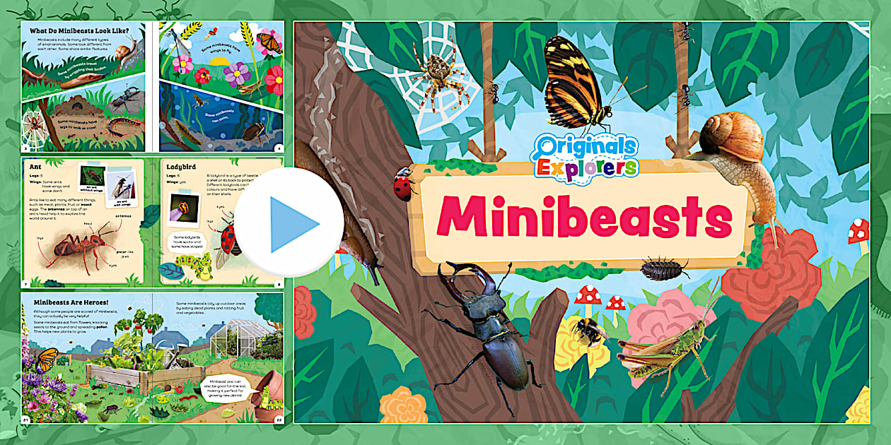 Originals Explorers: Minibeasts PowerPoint Book