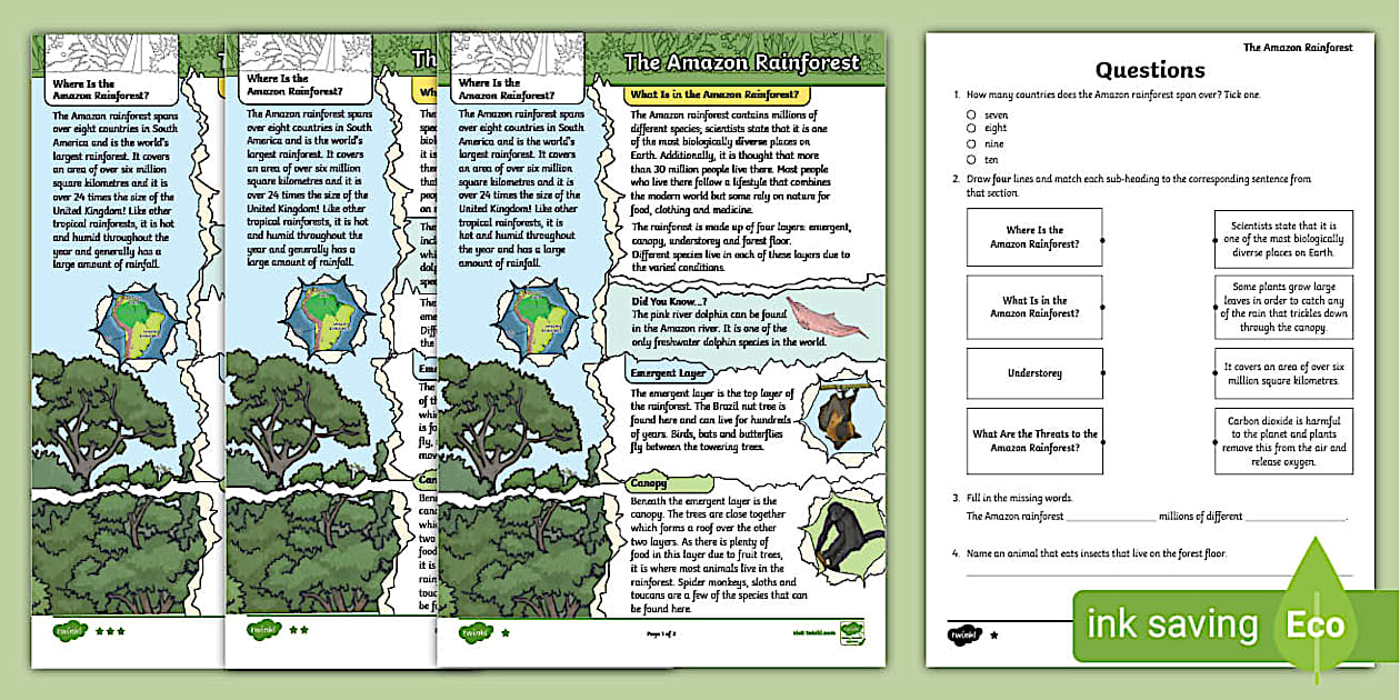 UKS2 Amazon Rainforest Differentiated Reading Comprehension