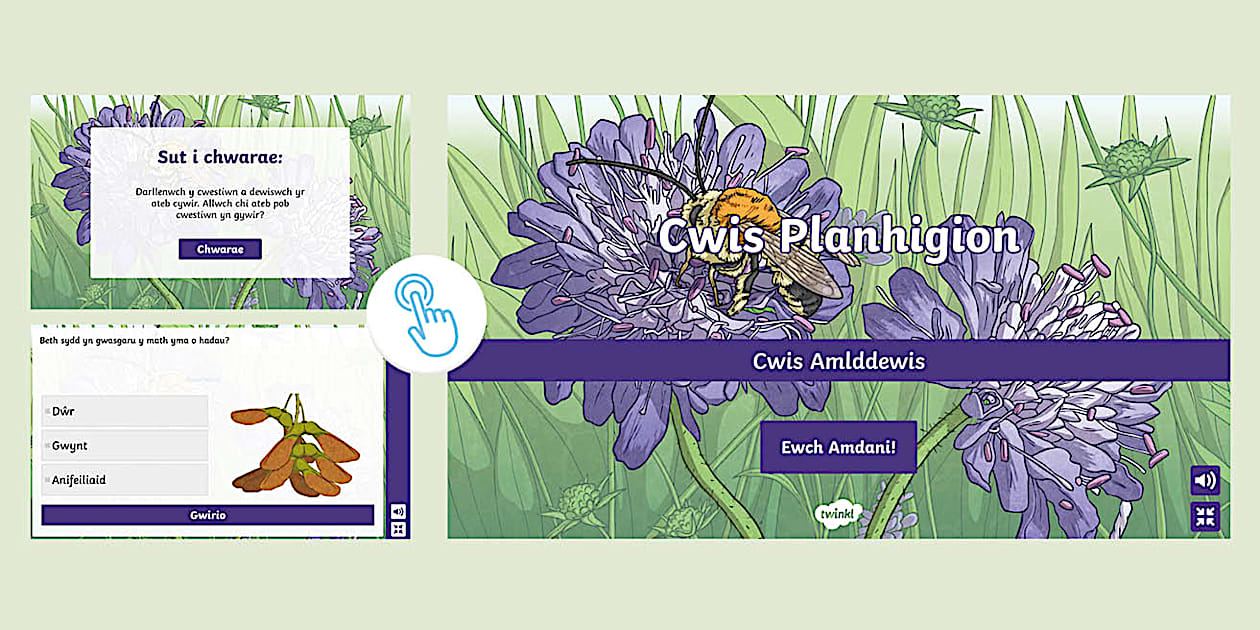 Cwis Rhyngweithiol Planhigion