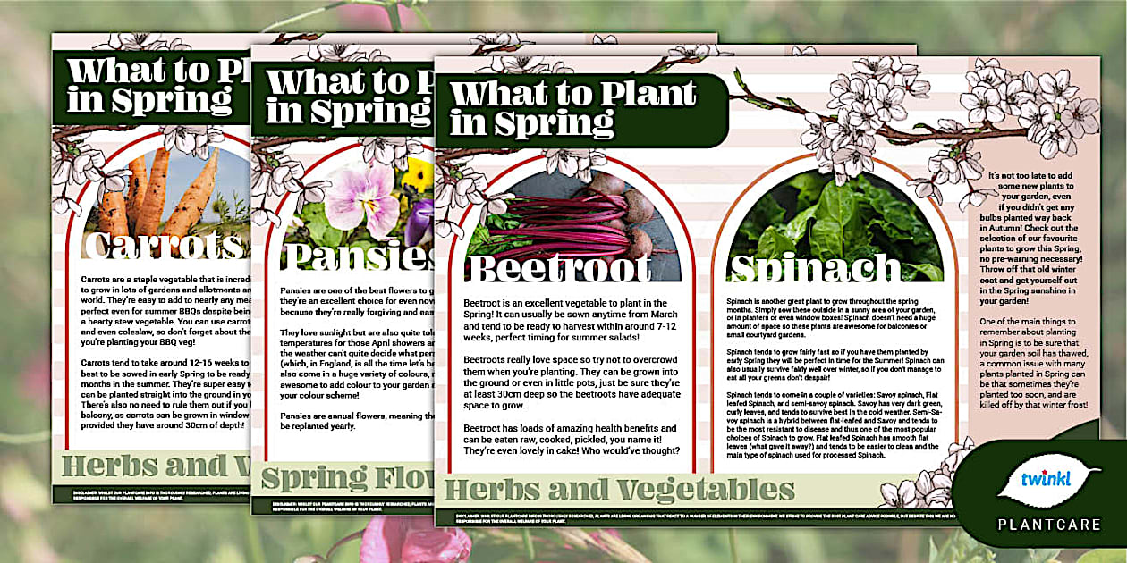 What to Plant in Spring, Plants to grow in time for Summer