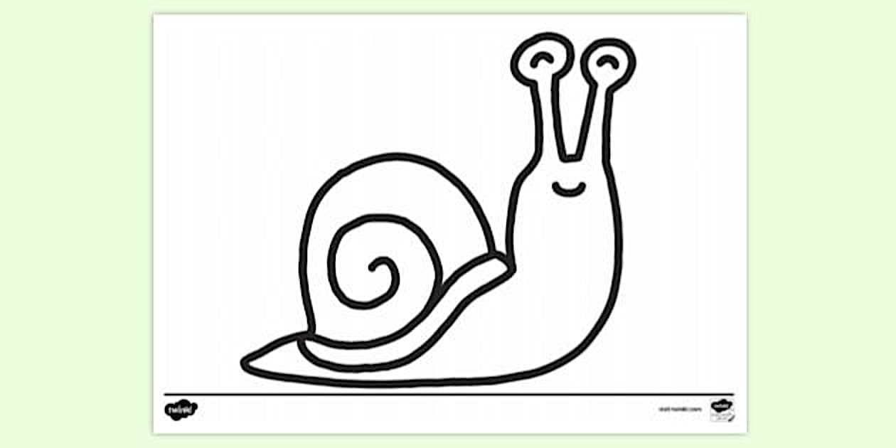 Snail Colouring Page Preschool | Colouring Sheets