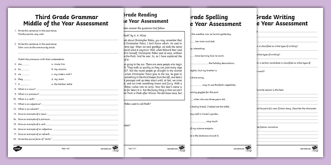 Third Grade Middle of the Year ELA Assessment (teacher made)