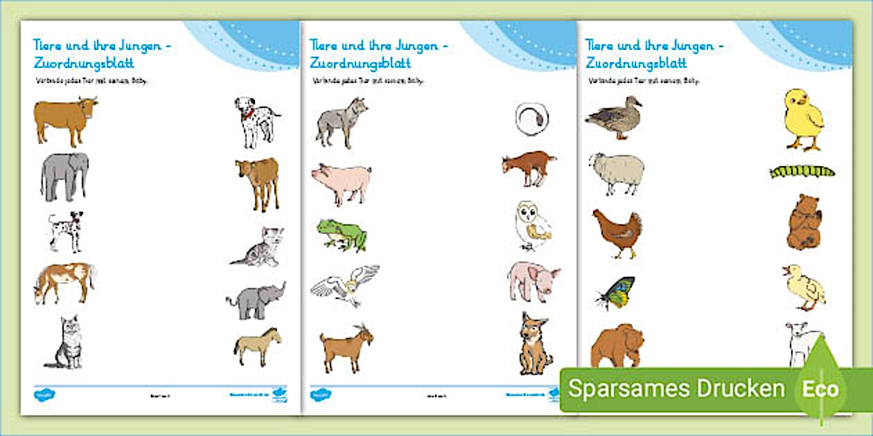 Tiere und ihre Babys - Arbeitsblatt (teacher made) - Twinkl