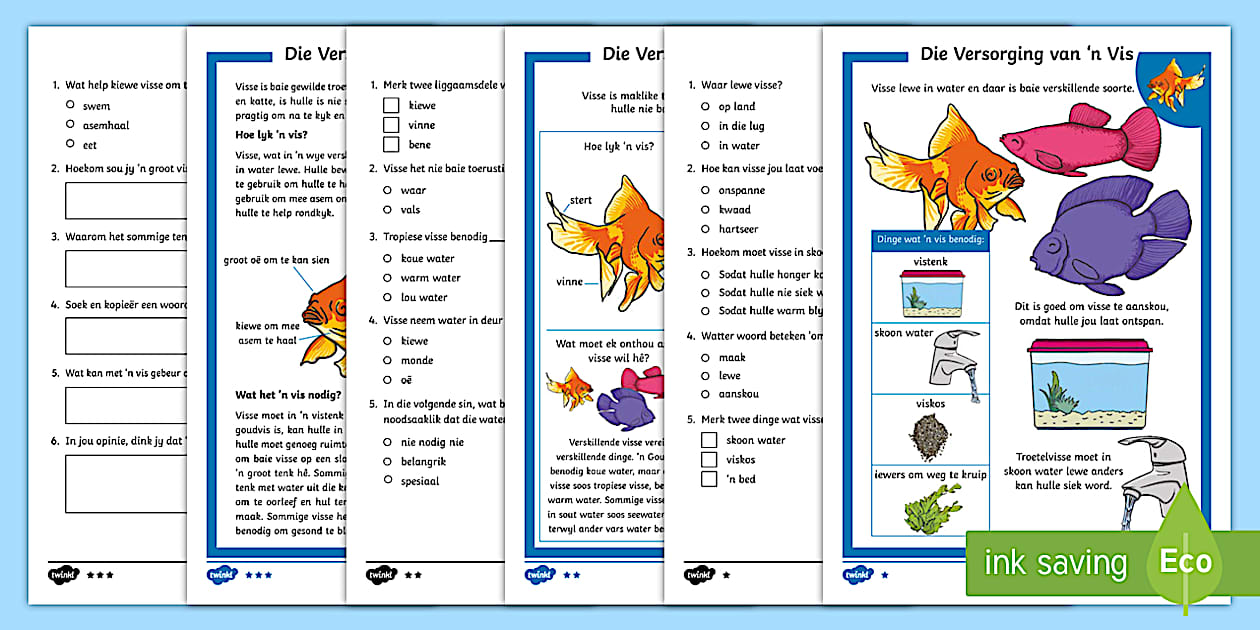 Hoe Om 'n Vis te Versorg Gedifferensieerde Begripslees Aktiwiteit