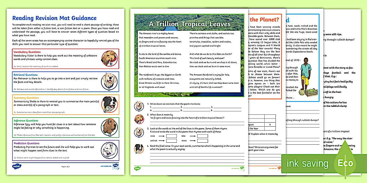 Y5 Reading 3 Revision Activity Mat Pack - Twinkl
