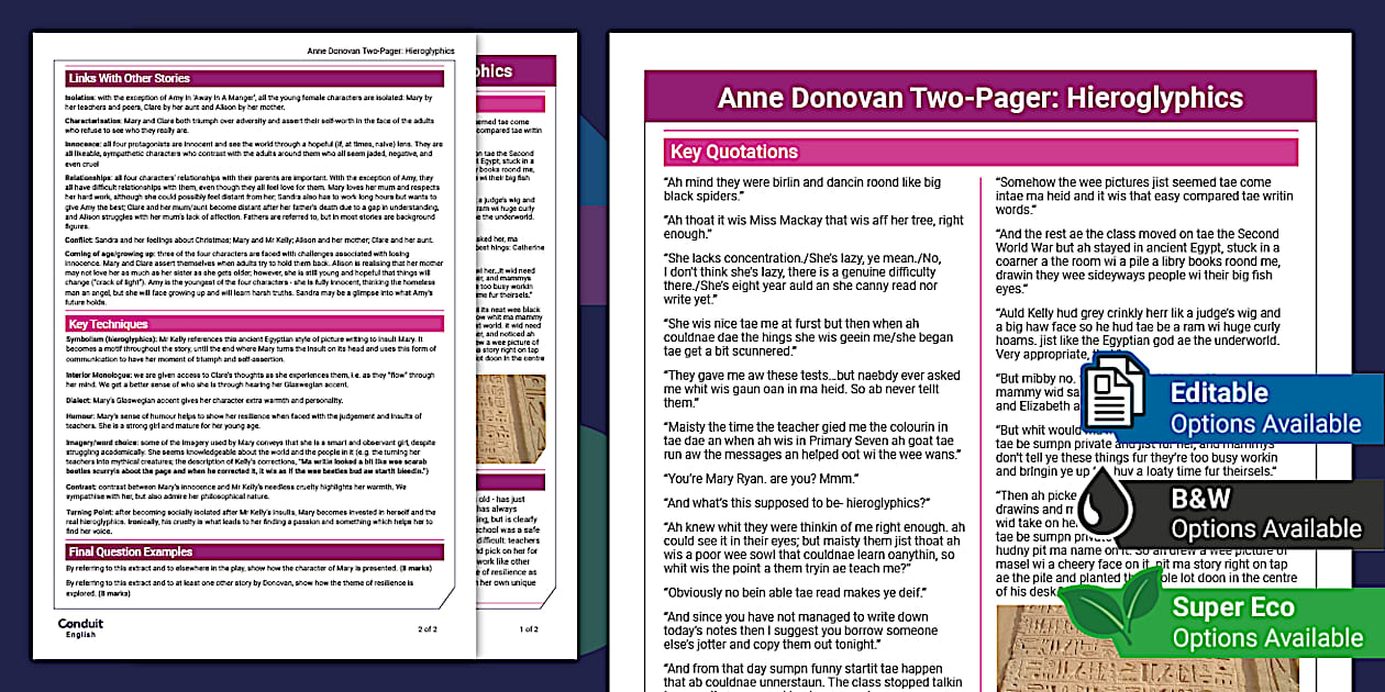 Anne Donovan Two-Pager: Hieroglyphics (Teacher-Made)