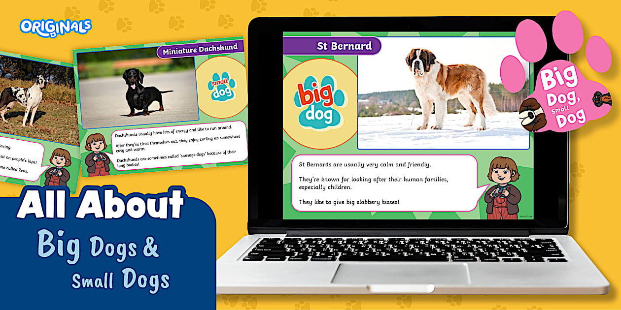 EYFS All About Big Dogs and Small Dogs PowerPoint