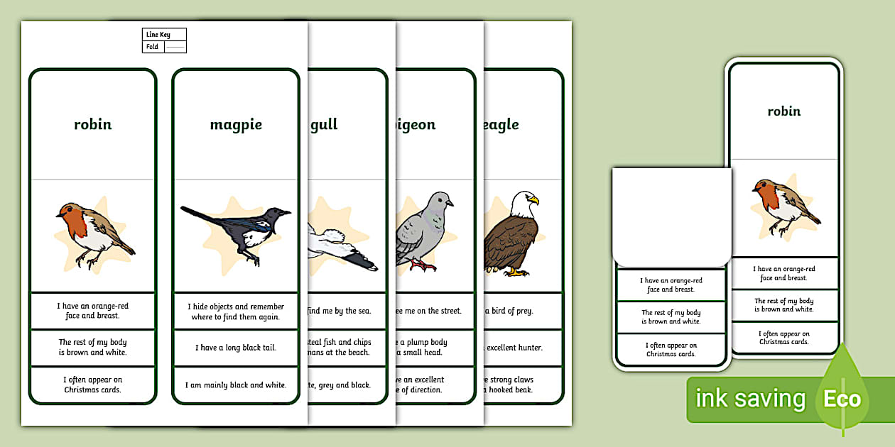 What Am I? Guess the British Bird Game (teacher made)