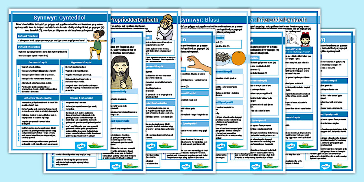 Posteri Arddangos Rheoleiddio Ein Wyth Synnwyr - Twinkl